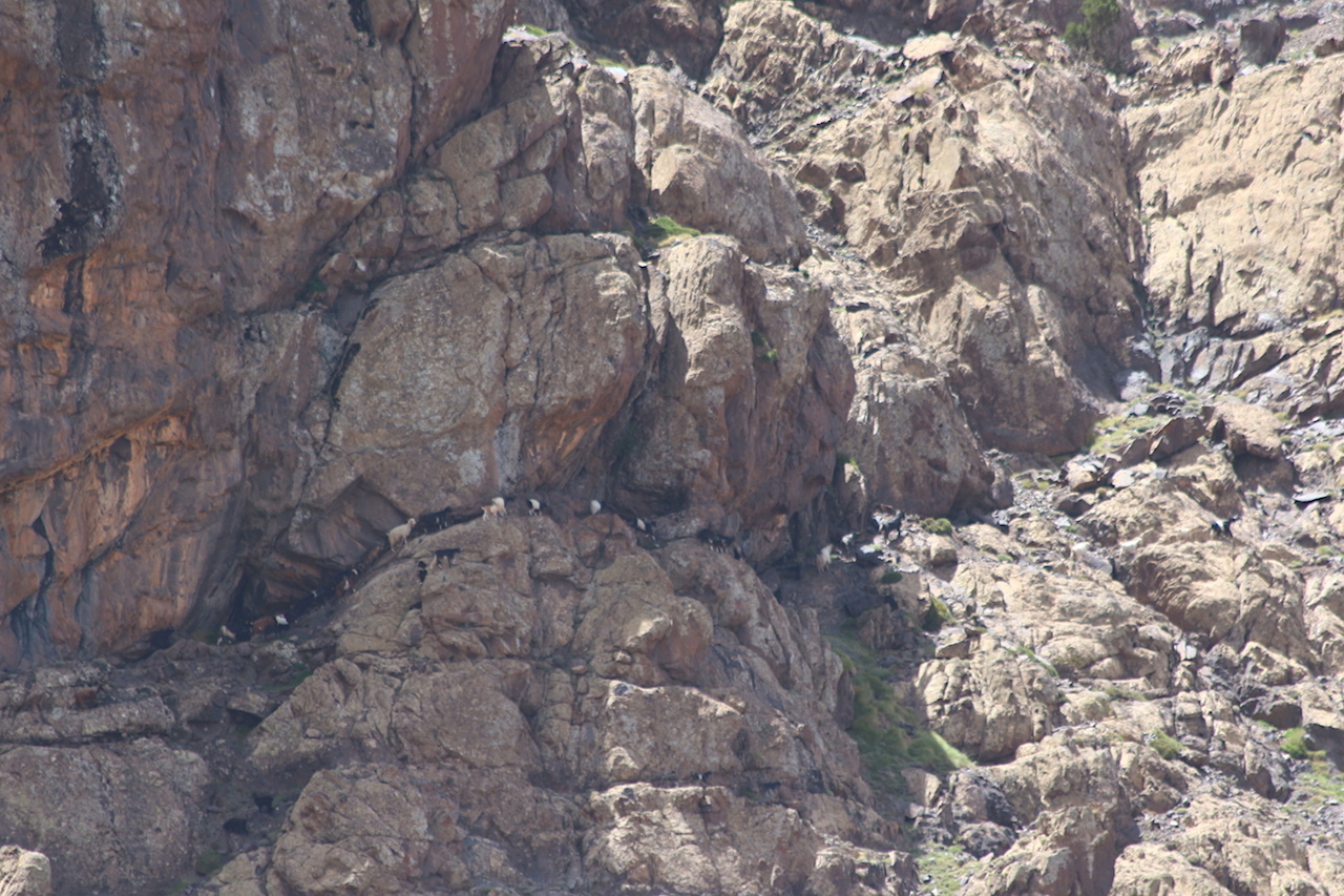 2 day trek from marrakech to 4000 meters high: customize it